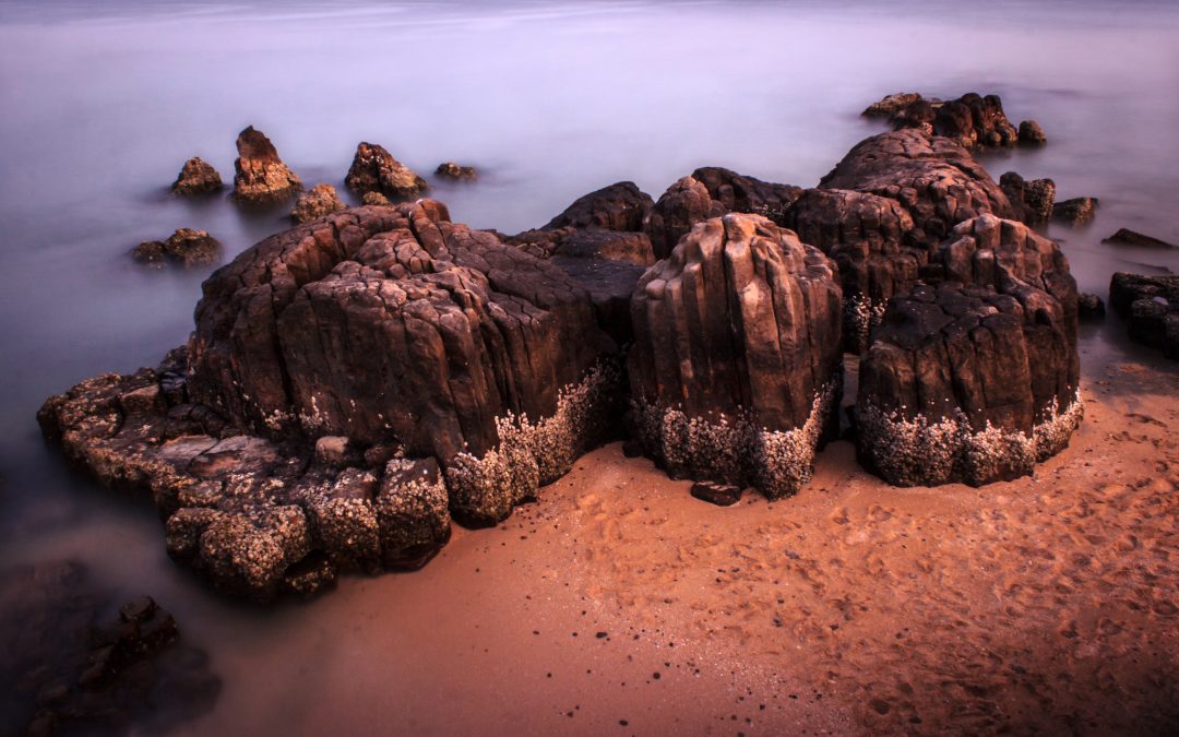 15 Incredible Natural Wonders of India: Visit Before You Die