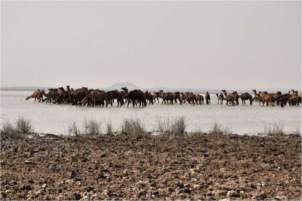 15 Incredible Natural Wonders of India: Visit Before You Die