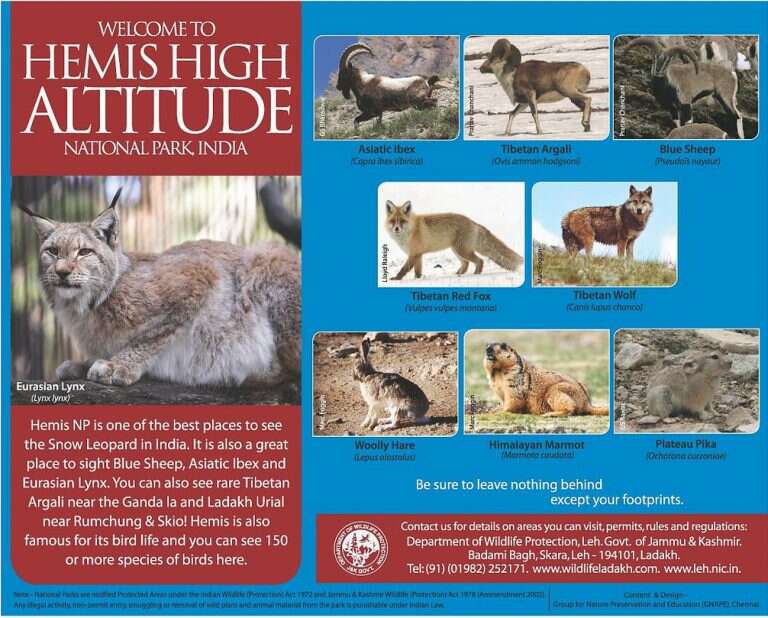 Tourist Places in India: Doom Tourism Edition